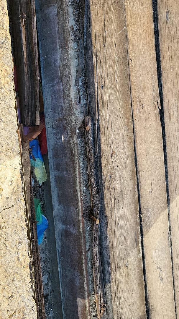 Vicios ocultos en la madera: daños y soluciones - EMPRESA CONTROL DE ...